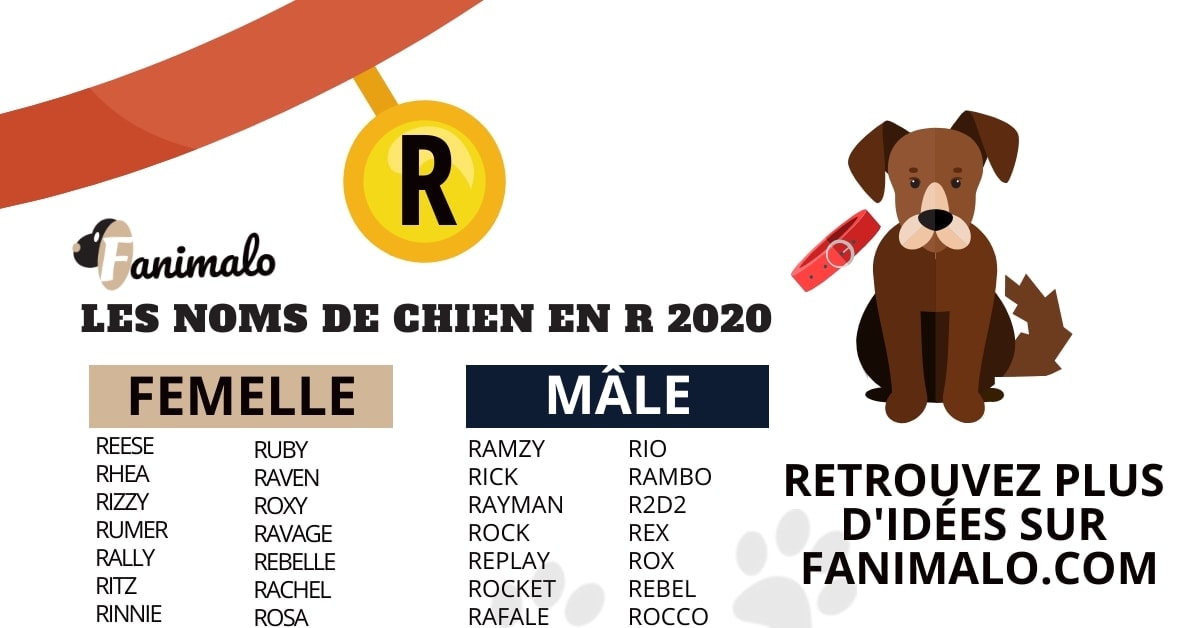 Nom De Chien En R Nom De Chien En R